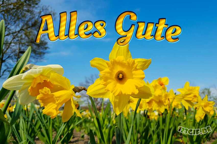 Kostenlose Alles Gute Grüße, Gifs und Cliparts - Jetzt herunterladen ...