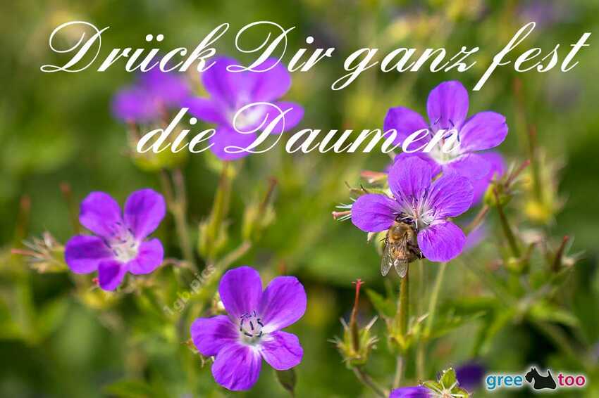 Kostenlose Daumen Drücken Grüße, Gifs und Cliparts - Jetzt ...