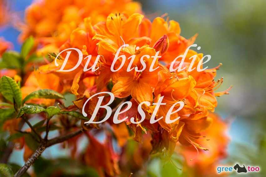 Kostenlose Du bist die Beste Grüße, Gifs und Cliparts - Jetzt ...