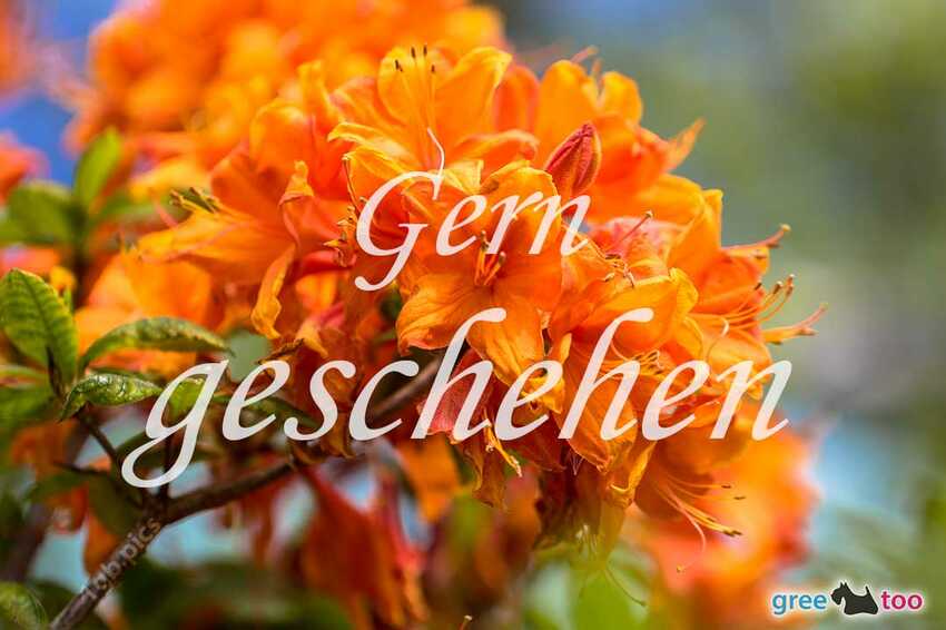 Kostenlose Gern geschehen Grüße, Gifs und Cliparts - Jetzt ...