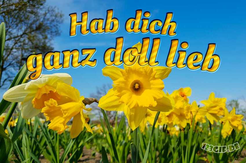 Kostenlose Hab Dich Lieb Grüße, Gifs und Cliparts - Jetzt herunterladen ...